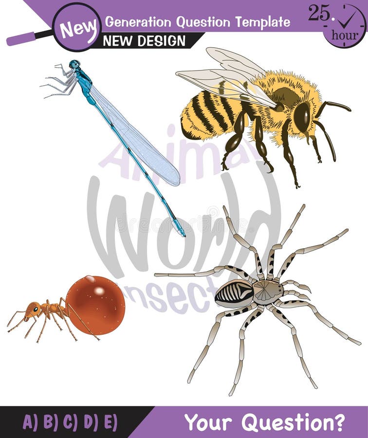 Animal World, Insects, Vector, Eps, New Generation Question Template ...