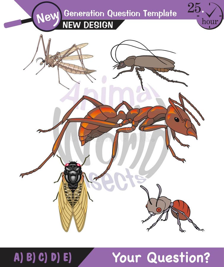 Animal World, Insects, Vector, Eps, New Generation Question Template ...