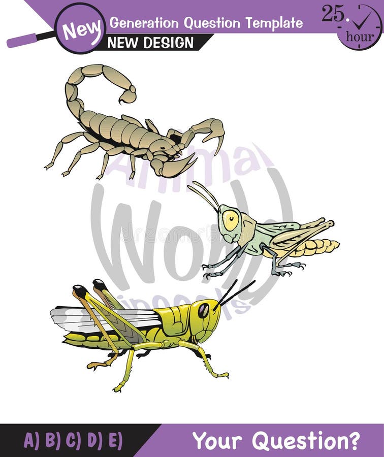 Animal World, Insects, Vector, Eps, New Generation Question Template ...