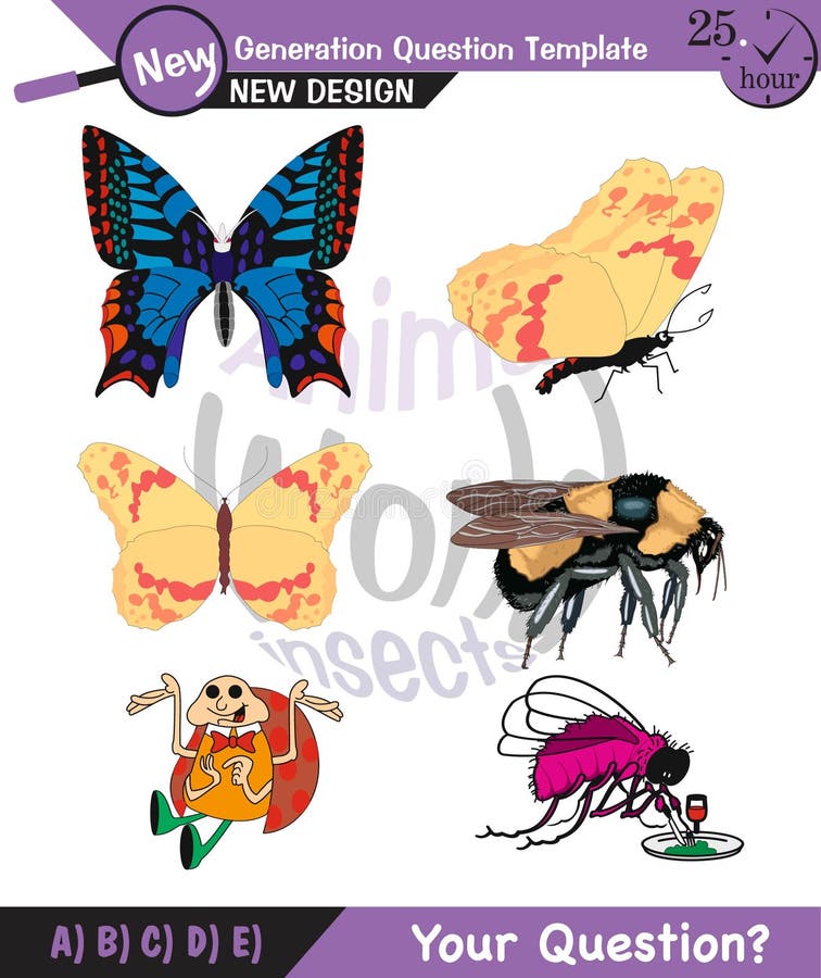 Animal World, Insects, Vector, Eps, New Generation Question Template ...