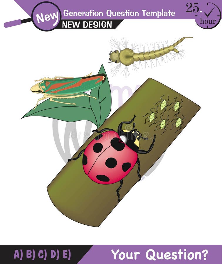 Animal World, Insects, Vector, Eps, New Generation Question Template ...
