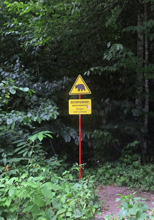 Warning Sign Jungle Stock Photos - Download 336 Royalty Free Photos