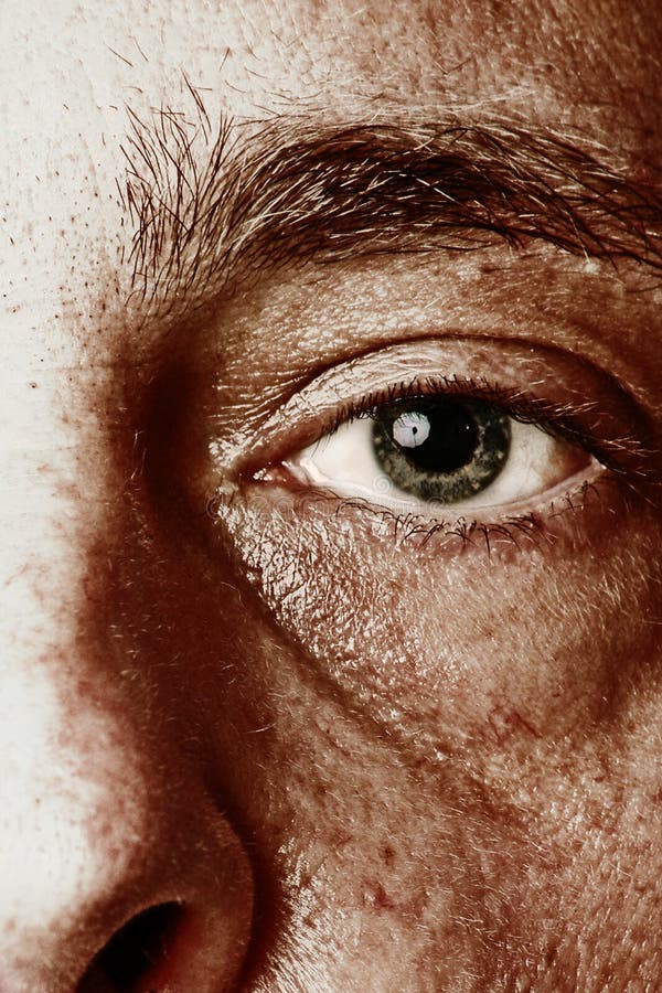 Hazel eye stock image. Image of blank, retina, look, male - 452425