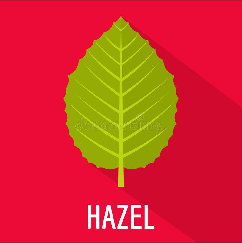 Hazel Leaf Icon, Flat Style Stock Vector - Illustration of flat ...