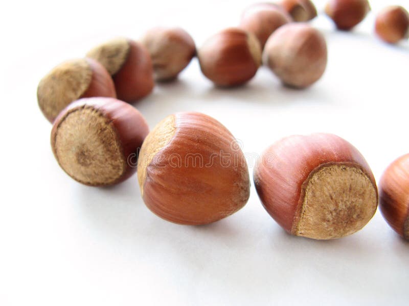 Hazel-nuts stock photo. Image of hazel, nutshell, healthy - 11191730