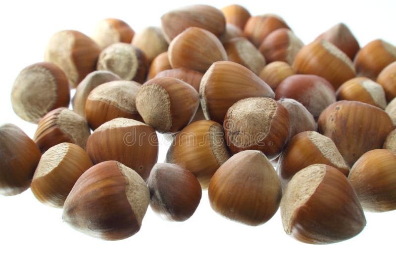 Hazel nuts stock photo. Image of closeup, close, food - 12238824