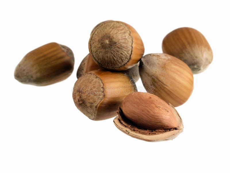 Hazel nuts stock image. Image of cuisine, nuciferous, kernel - 2082139