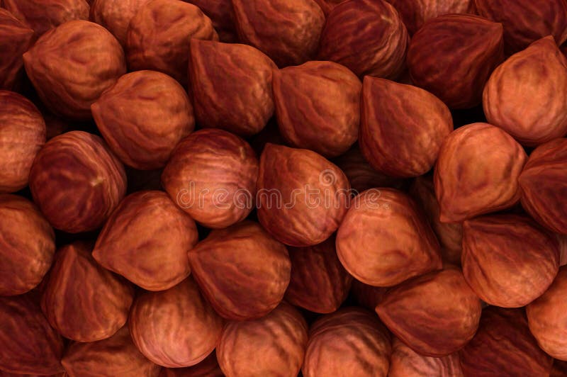 Hazel Nuts Texture or Background Stock Image - Image of healthy, close ...