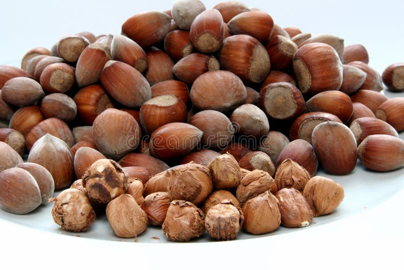 Hazelnoot stock afbeelding. Image of hazelnoten, smakelijk - 106944389