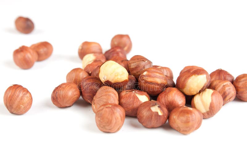Hazelnoot stock afbeelding. Image of sluit, snack, gezond - 11872797