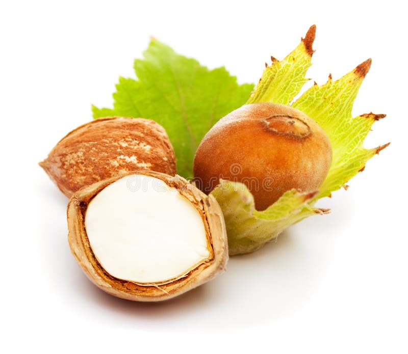 Hazelnoot stock foto. Image of naughty, geïsoleerd, groen - 15961686