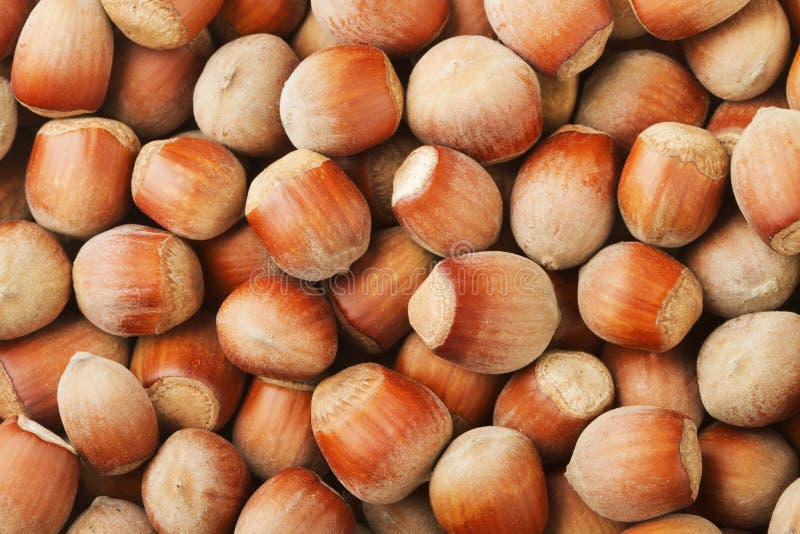 Hazelnoot stock afbeelding. Image of noot, hoop, vegetariër - 22455857