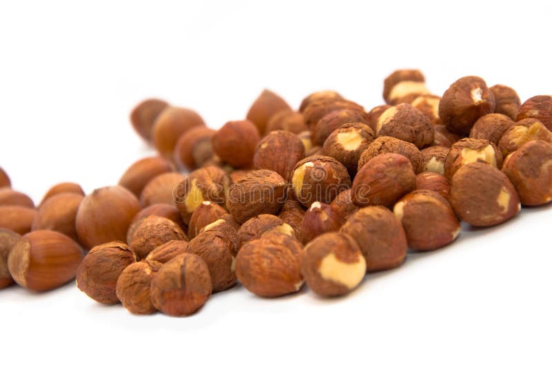 Hazelnoot stock foto. Image of noot, naughty, vitamine - 18771622