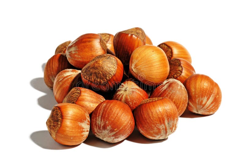 Hazelnoot-3 stock afbeelding. Image of bruin, noot, spatie - 17551631