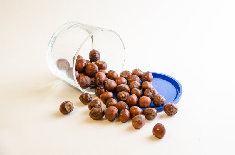 Hazelnoot stock foto. Image of achtergrond, hazelnoot - 52871310