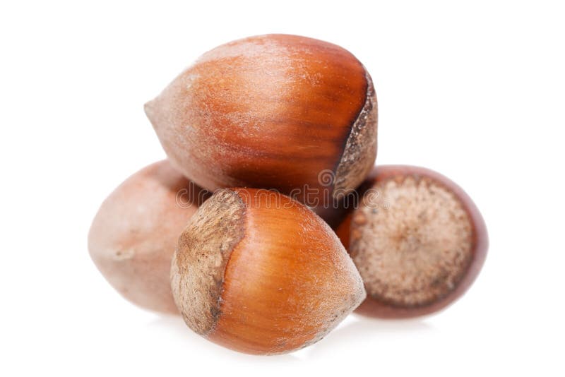 Hazelnoot stock afbeelding. Image of gebied, vrucht, volledig - 33652701