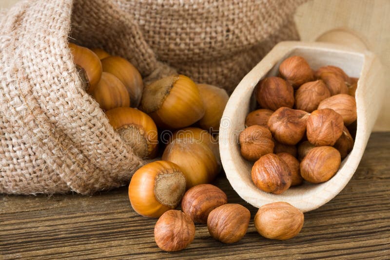 Hazelnoten stock foto. Image of traditioneel, snack, schelp - 16610182
