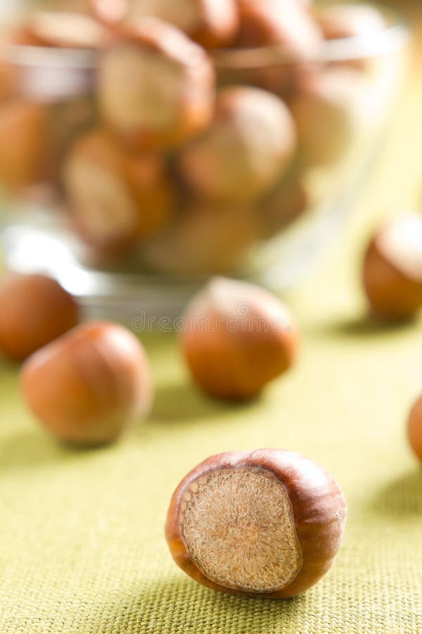 Hazelnoten (hazelnoot) stock foto. Image of eetbaar, hazelnoot - 27165438