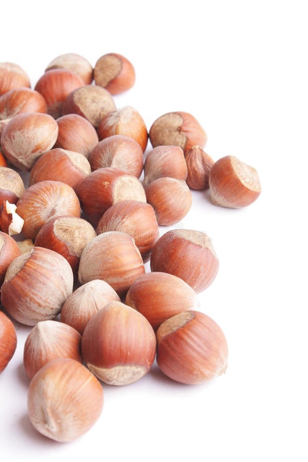 Hazelnut stock image. Image of macro, brown, nutshell - 13493995