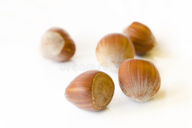 Still life of acorns. stock image. Image of three, photograph - 2042639