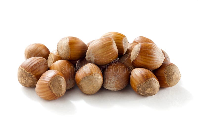 1,457 Hazelnut Husk Stock Photos - Free & Royalty-Free Stock Photos ...
