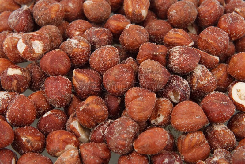 Hazelnut background stock image. Image of hazelnuts, baking - 10838423