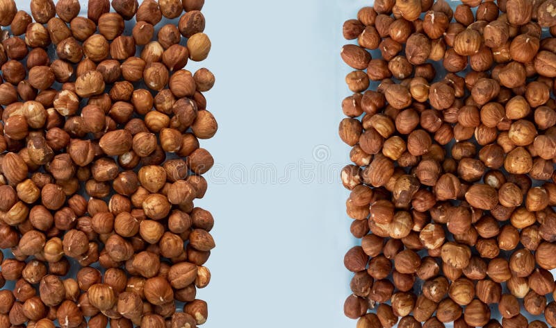 Hazelnut Background with Empty Space by Centre.Many Nuts. Hazelnut ...