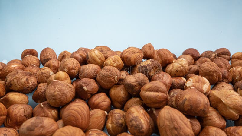 Hazelnut background stock image. Image of tasty, group - 28310781