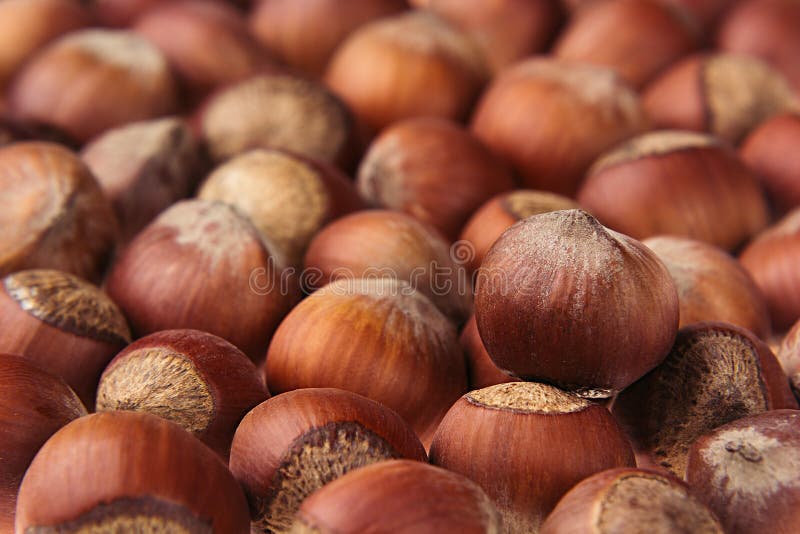 Hazelnut background stock image. Image of tasty, group - 28310781
