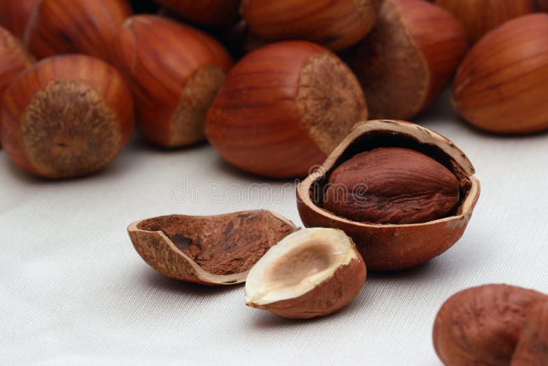 Hazelnut background stock image. Image of tasty, group - 28310781