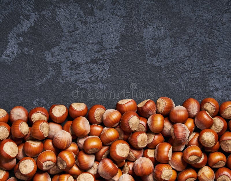 Hazelnut on Black Table ,with Copy Space ,Top View Stock Image - Image ...