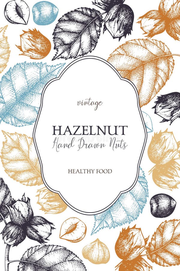 Dried Fruit Nut Border Stock Illustrations – 31 Dried Fruit Nut Border ...