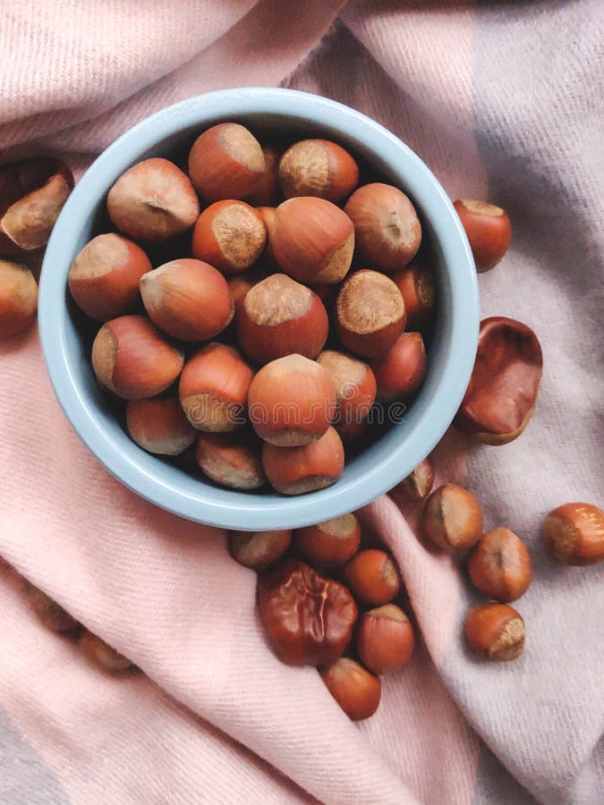 Hazelnut,Chestnut,Walnut and Linden Tree Leaves Stock Photo - Image of ...