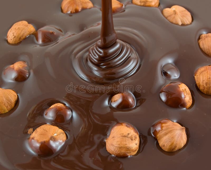 Hazelnut chocolate stock image. Image of snack, temptation - 11592531