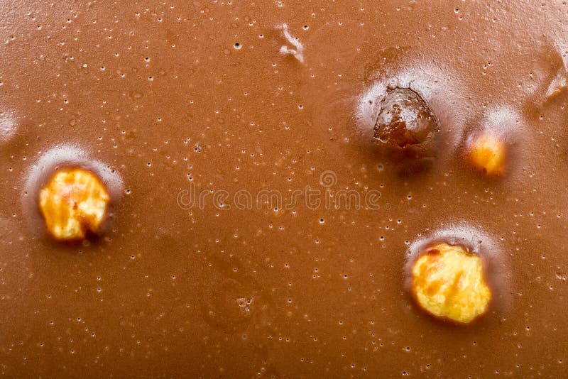 Hazelnut Chocolate stock image. Image of delighting, assorted - 26766657