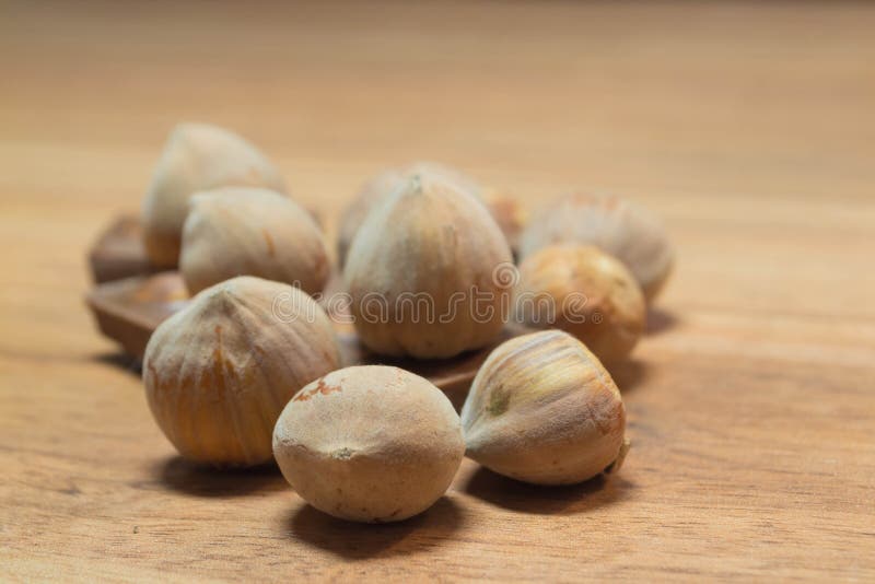 Hazelnut and chocolate stock image. Image of healthy - 79795313