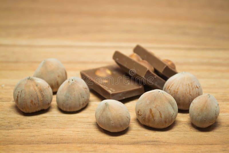 Hazelnut and chocolate 13 stock image. Image of brown - 79795995