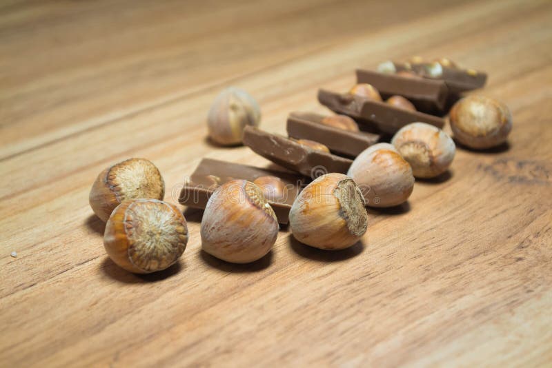 Hazelnut and chocolate 10 stock photo. Image of healthy - 79796044