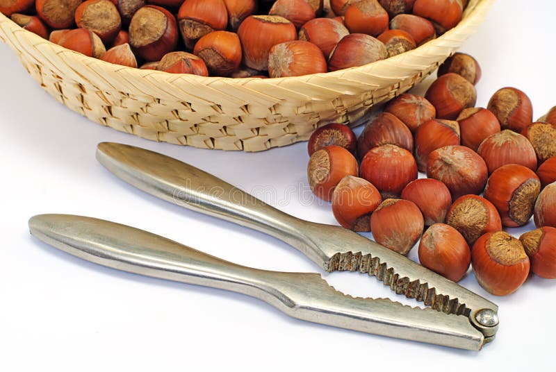 Hazelnut Cracked Open with Nut Cracker Isolated Stock Image - Image of ...