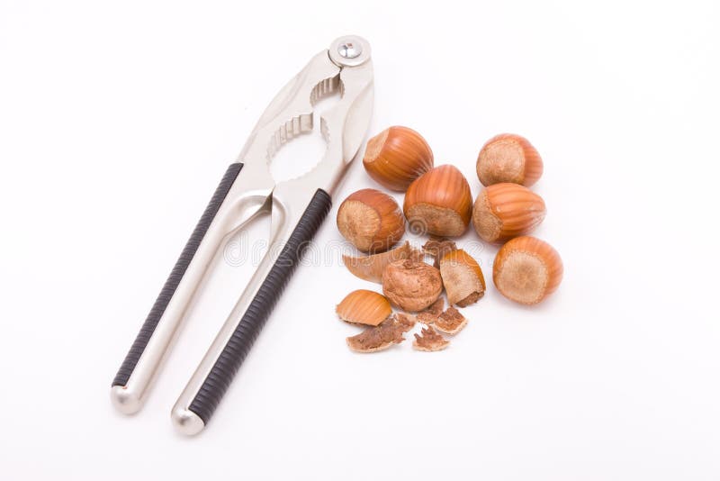 Hazelnut Cracker stock image. Image of healthy, object - 12067181