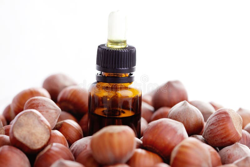Hazelnut essential oil stock image. Image of white, treatment - 44182697