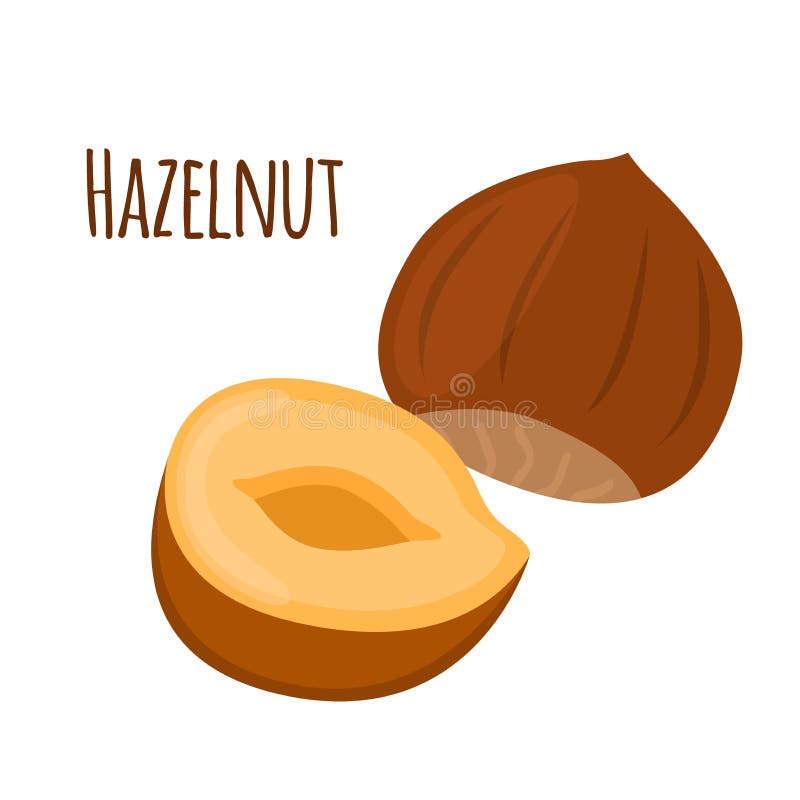Forest Hazel Nuts Cute Cartoon Vector Characters Illustration Stock ...
