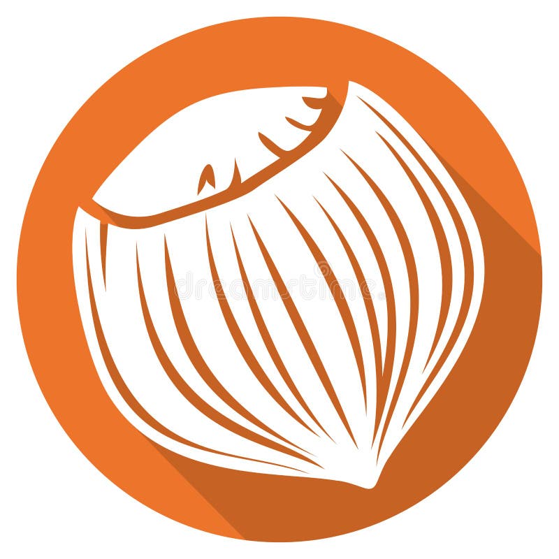 Hazelnut flat icon stock vector. Illustration of delicious - 207169054