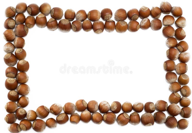 247 Hazelnut Line Stock Photos - Free & Royalty-Free Stock Photos from ...