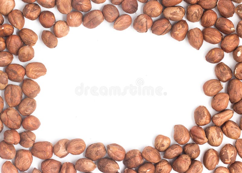 Hazelnut. Frame photo stock photo. Image of healthy, brown - 84745108