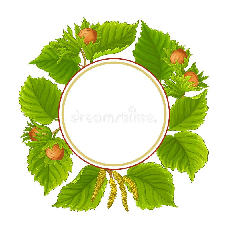 Hazelnut Flower Stock Illustrations – 580 Hazelnut Flower Stock ...