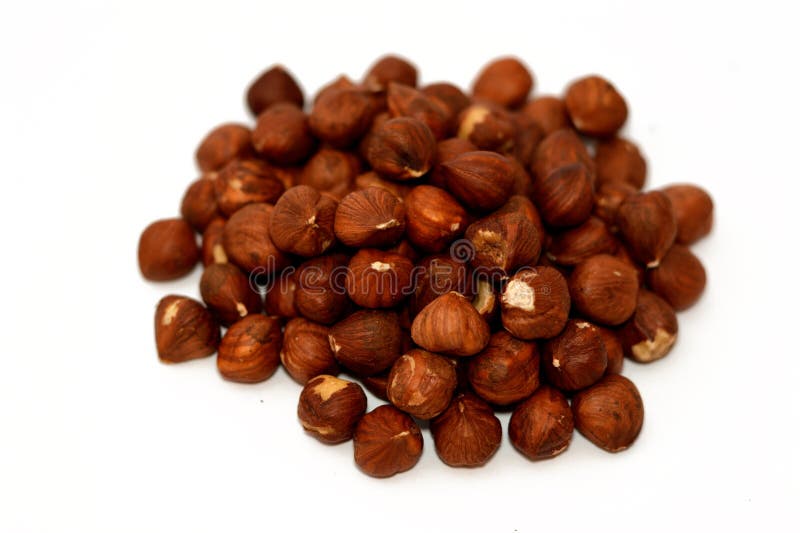 The Hazelnut, the Fruit of the Hazel Tree, Cobnuts or Filberts ...