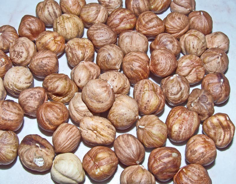 Hazelnut is the Fruit of a Large Hazel, or `Lombard Nut`. Nuts are of ...