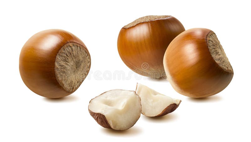 Hazelnut Group Pieces Isolated on White Background Stock Photo - Image ...