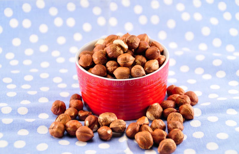 Hazelnut stock image. Image of health, brown, organic - 35201787